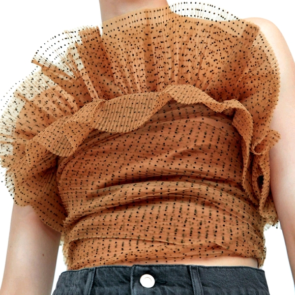 Zara | Tops | Zara Ruffled Polka Dot Tulle Crop Top | Poshmark